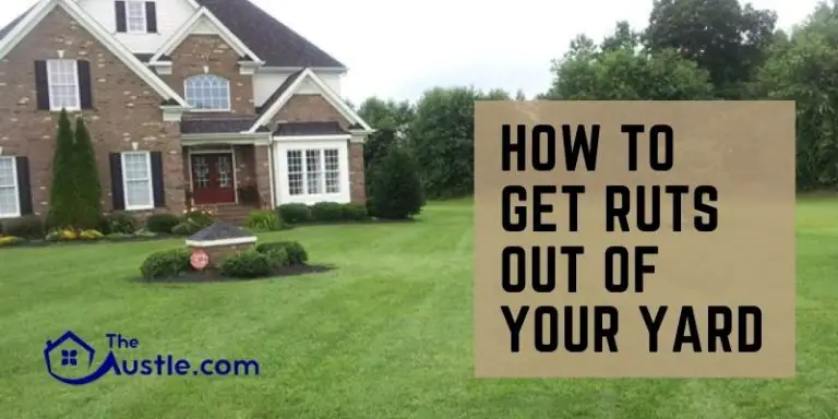 How To Get Ruts Out Of Your Yard Solution To All Types
