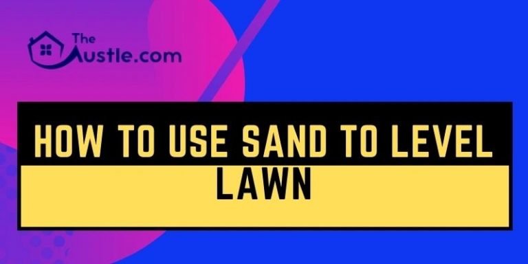 How to Use Sand to Level Lawn Easily with 6 Steps Only