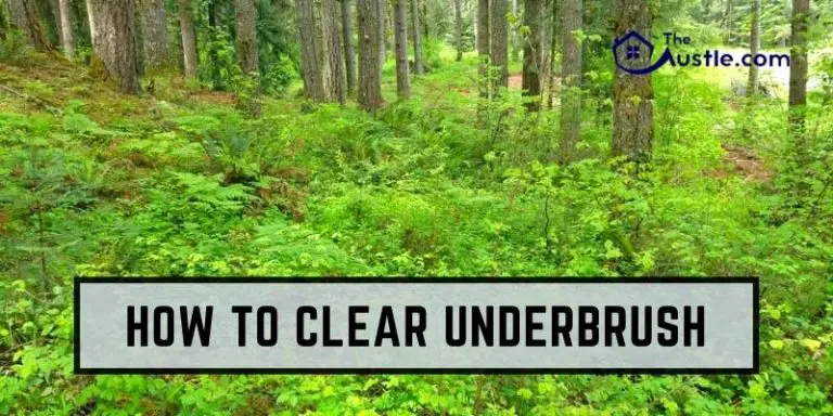 How to Clear Underbrush| Best Proven Methods