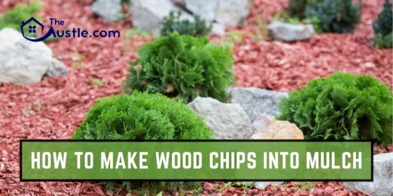 How to Make Wood Chips Into Mulch- Learn the Trick Now