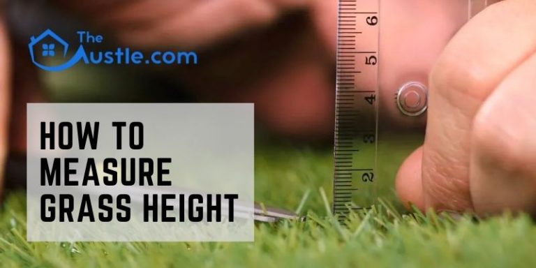 How To Measure Grass Height For The Perfect Cut how-to-measure-grass-height-for-the-perfect-cut