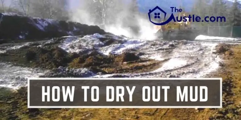 How to Dry Out Mud- Top 7 Solutions Explained